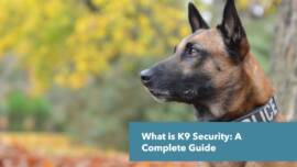 What is Level 2 Security License: A Complete Guide